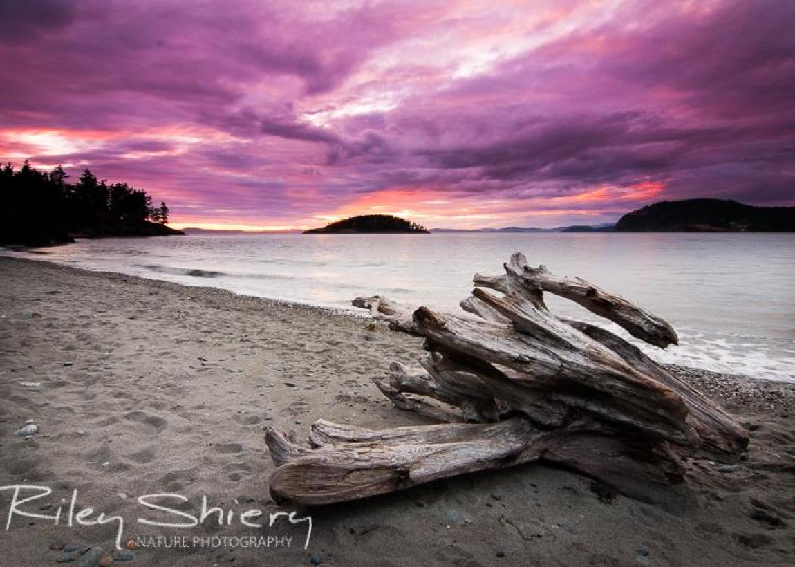 Whidbey Island - Search Everything Whidbey - Yabsta