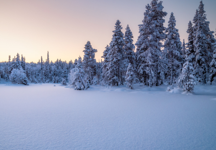 Special Weather Statement (Update). Whidbey Island Weather Bulletins ...