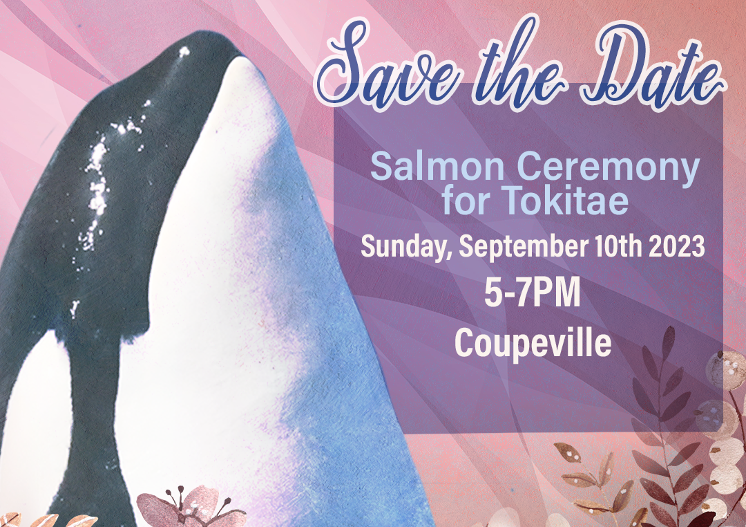 Honor the passing of Lolita/Tokitae the whale. Memorial Services Events ...